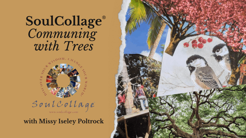 SoulCollage® Day: Communing with Trees | Siena Retreat Center